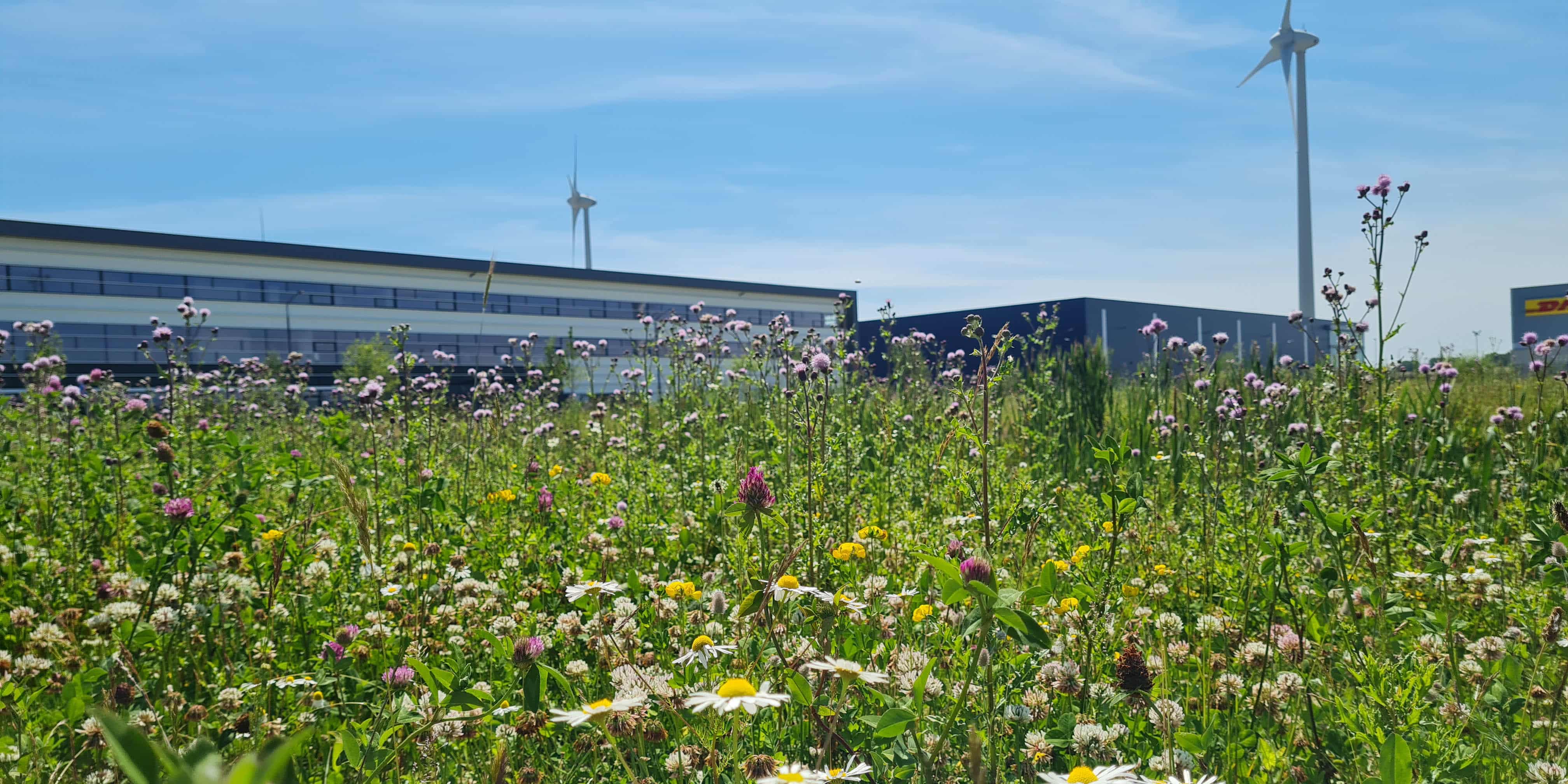 ESG RAPPORT 2024 - ELCEE Nederland